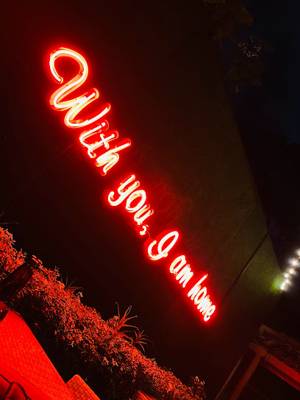 The Love Bar At Flamingo House ️