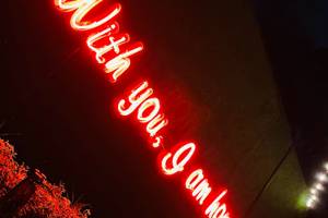 The Love Bar At Flamingo House ️