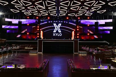 Xylo At The Palace ️